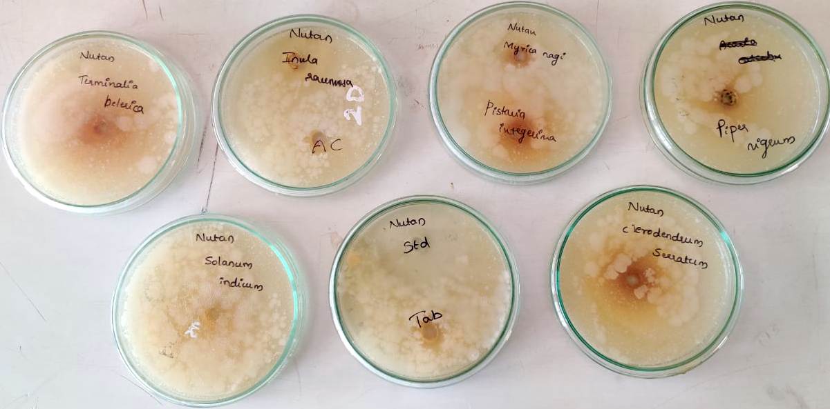 Formulation Design And Optimization Of Poly Herbal Chewable Tablet Using Jmp Tool